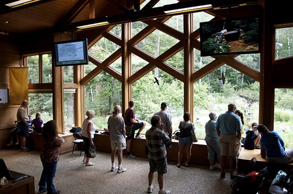 Interior image | International Wolf Center
