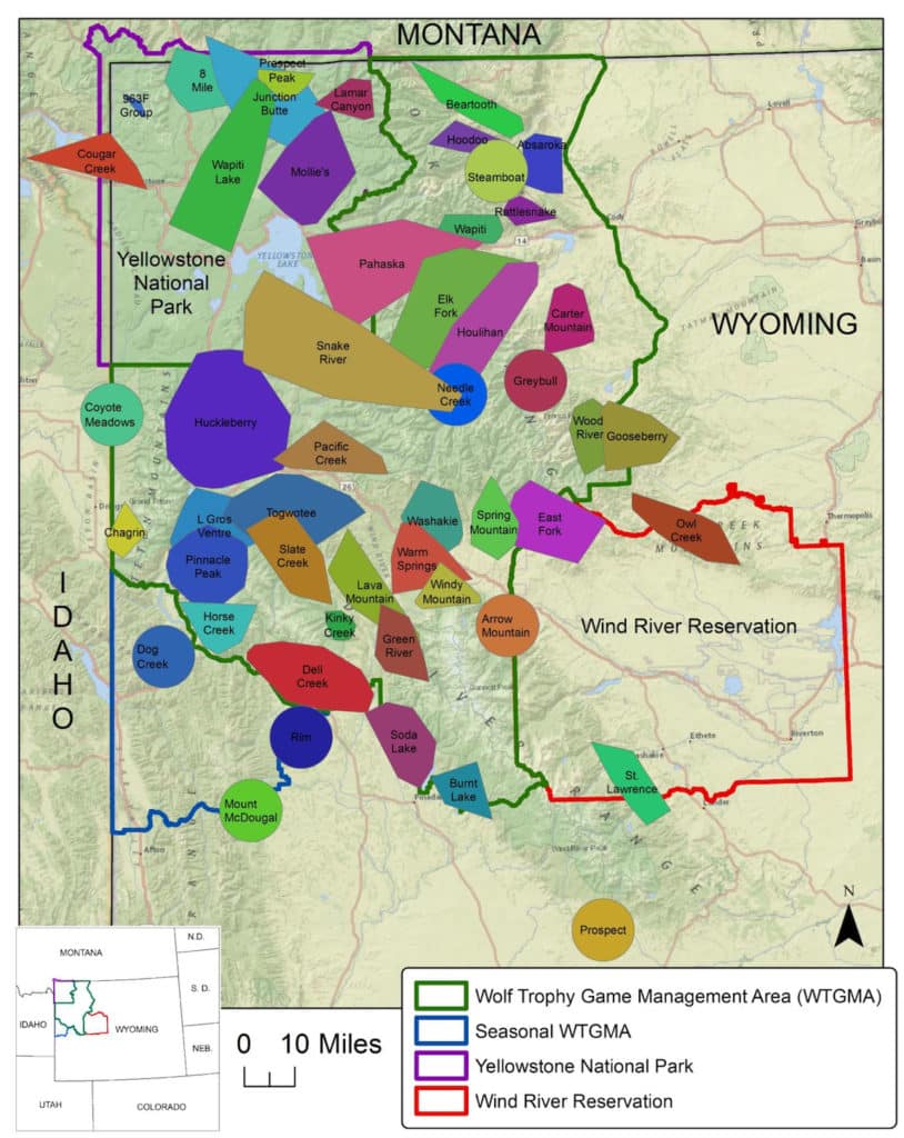 Wyoming | International Wolf Center