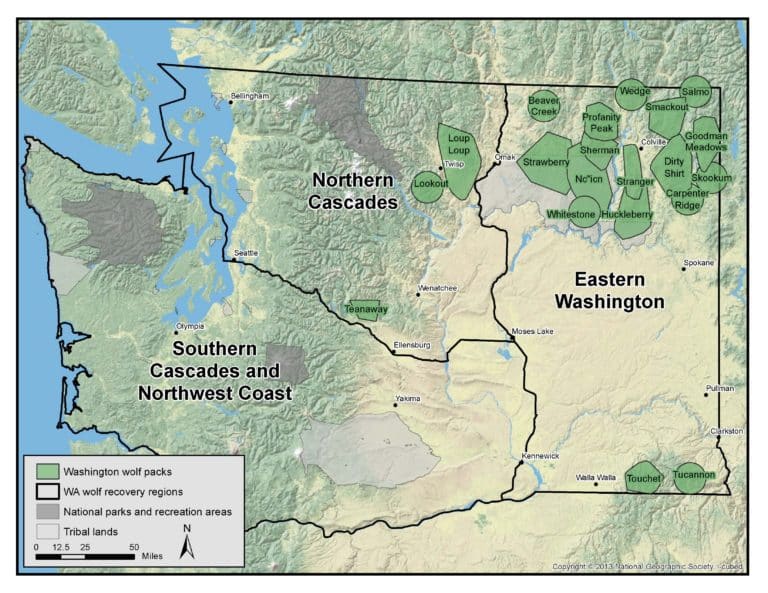 Washington | International Wolf Center