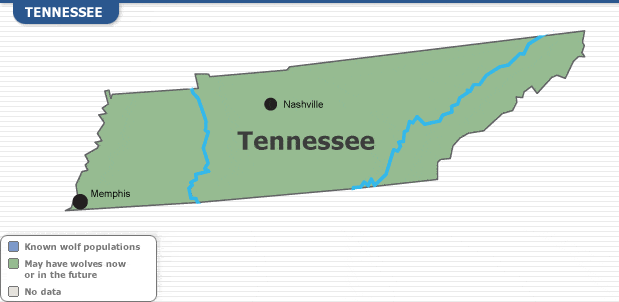 International Wolf Center » Blog Archive » Tennessee