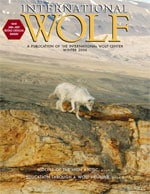 cover_winter2006 | International Wolf Center