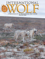cover_winter2008 | International Wolf Center