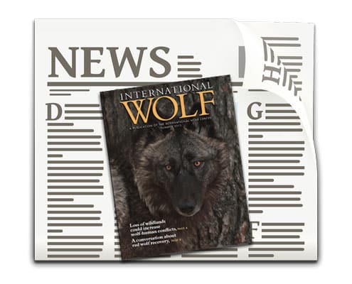 In-Depth Resources | International Wolf Center