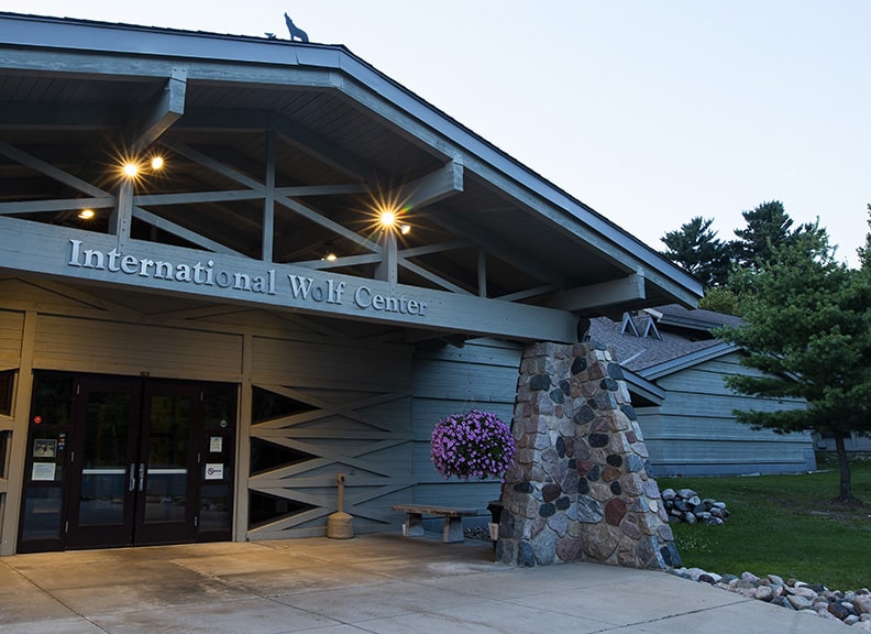 exterioreveningcropped2 | International Wolf Center