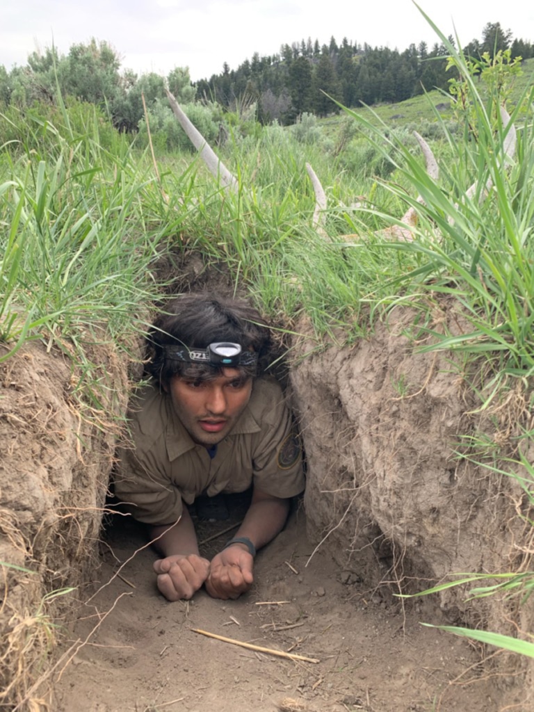 Wolf Den | International Wolf Center