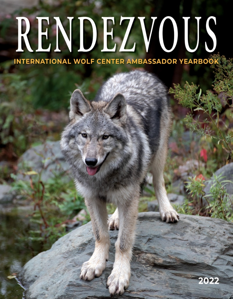 Membership | International Wolf Center