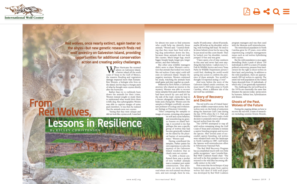 Magazine Archives | International Wolf Center
