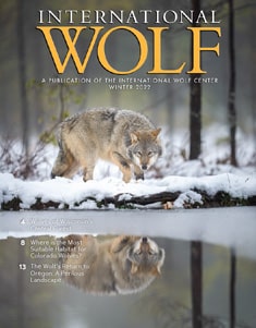 winter2022_cover | International Wolf Center