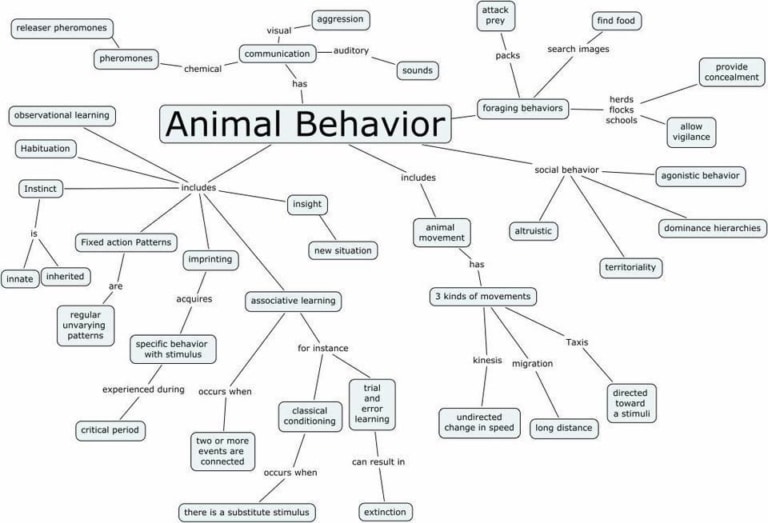 Animal Behavior Schematics | International Wolf Center