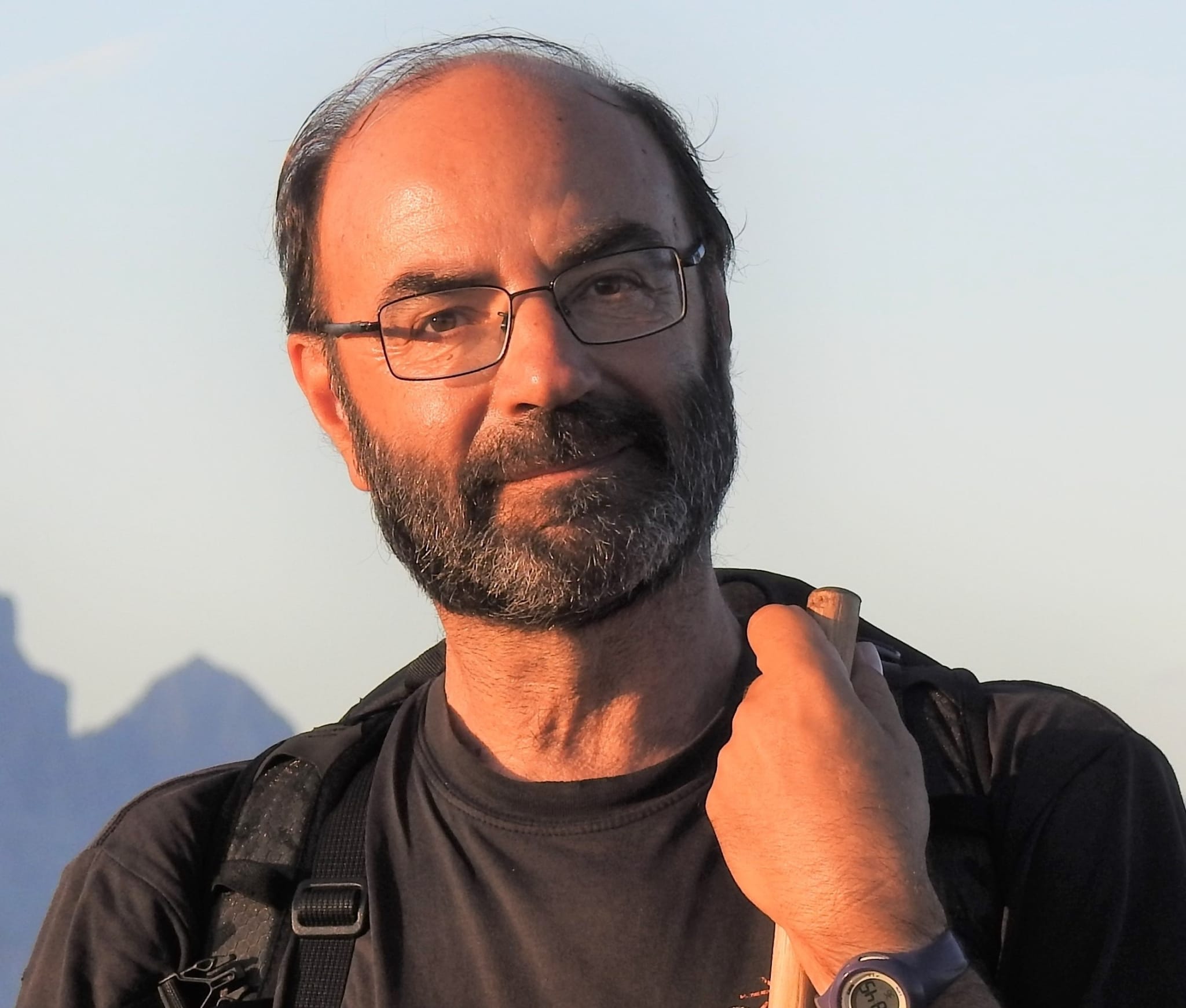 Mastiff Dogs Protect Livestock from Wolves in Spain | International ...