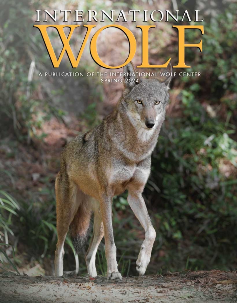 SpringIW2024_Cover | International Wolf Center