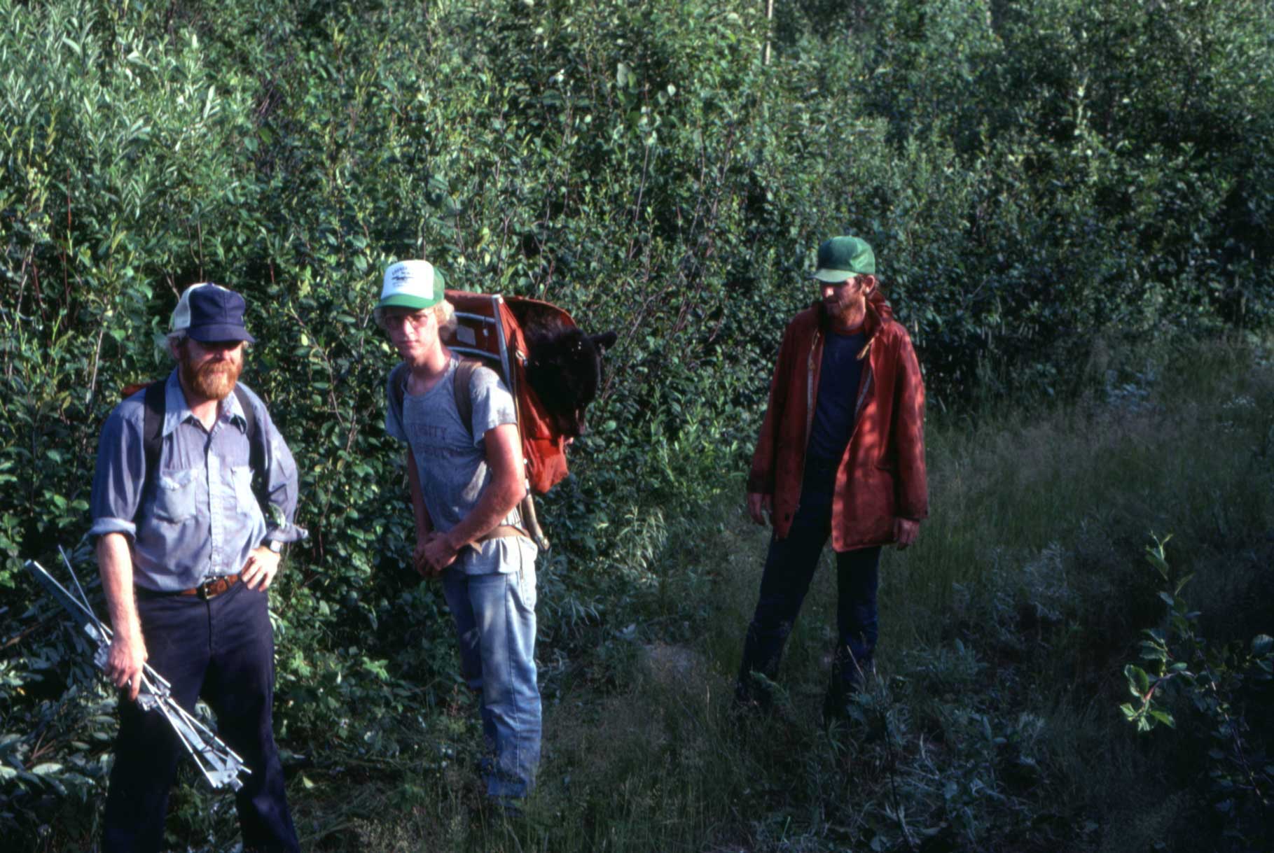 The USGS Superior National Forest Wolf and Deer Research Project ...