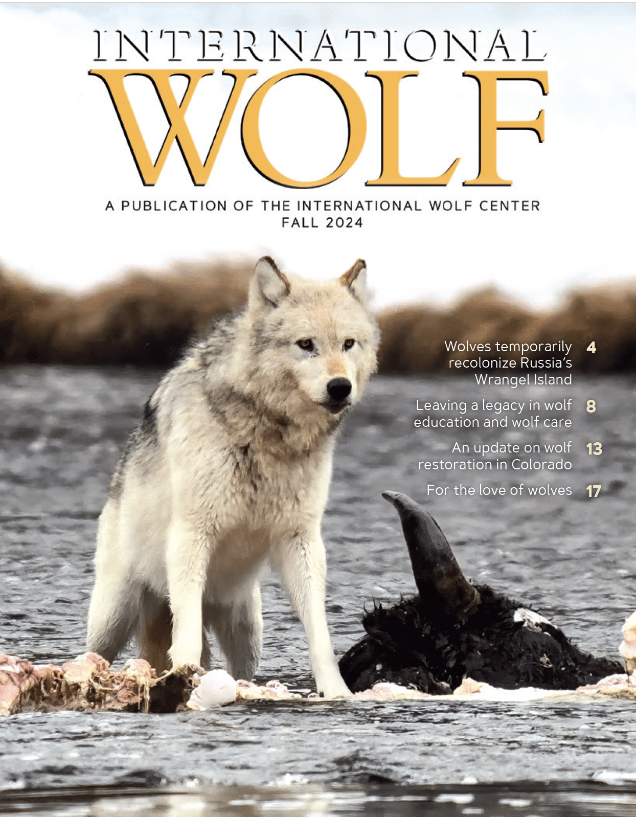 Paws on the Ground: An Update on Wolf Restoration in Colorado ...