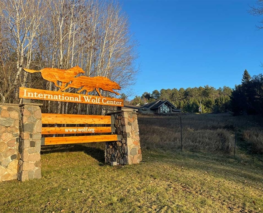 Group Visits | International Wolf Center