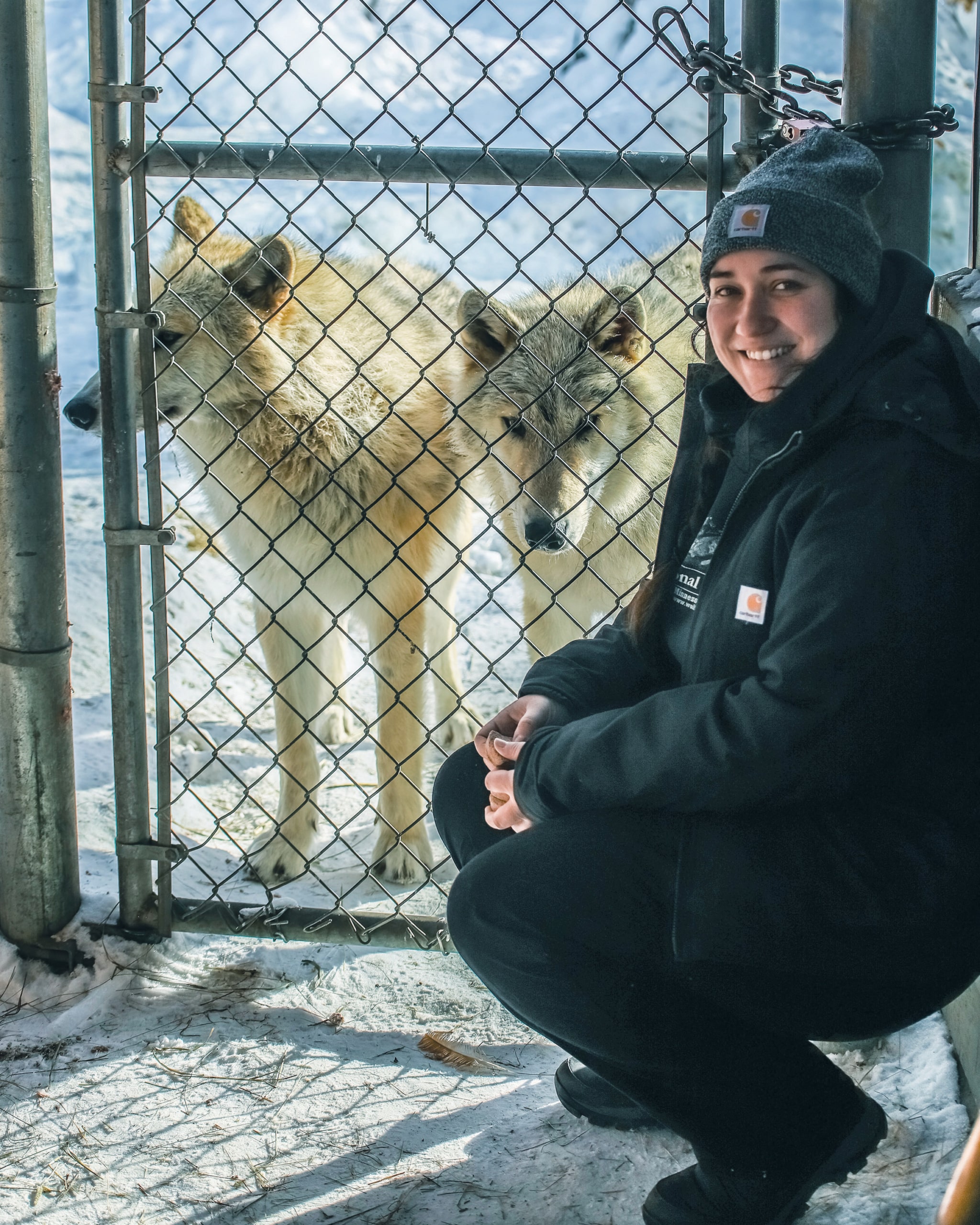 Annual Report | International Wolf Center
