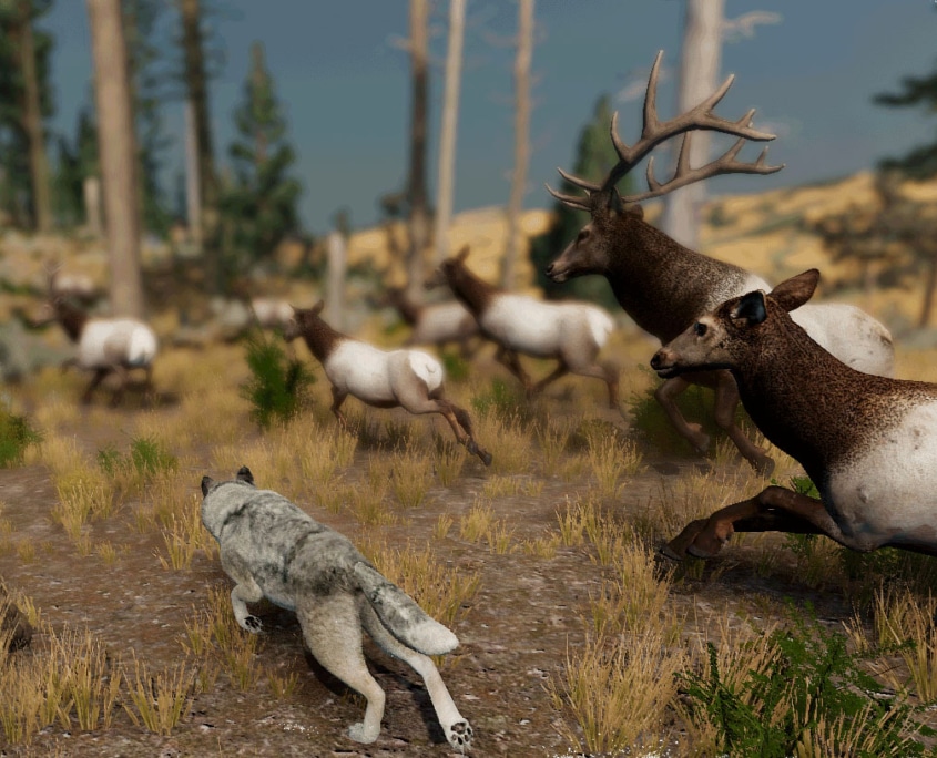 WolfQuest | International Wolf Center