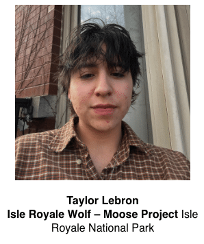 TaylorLebron | International Wolf Center