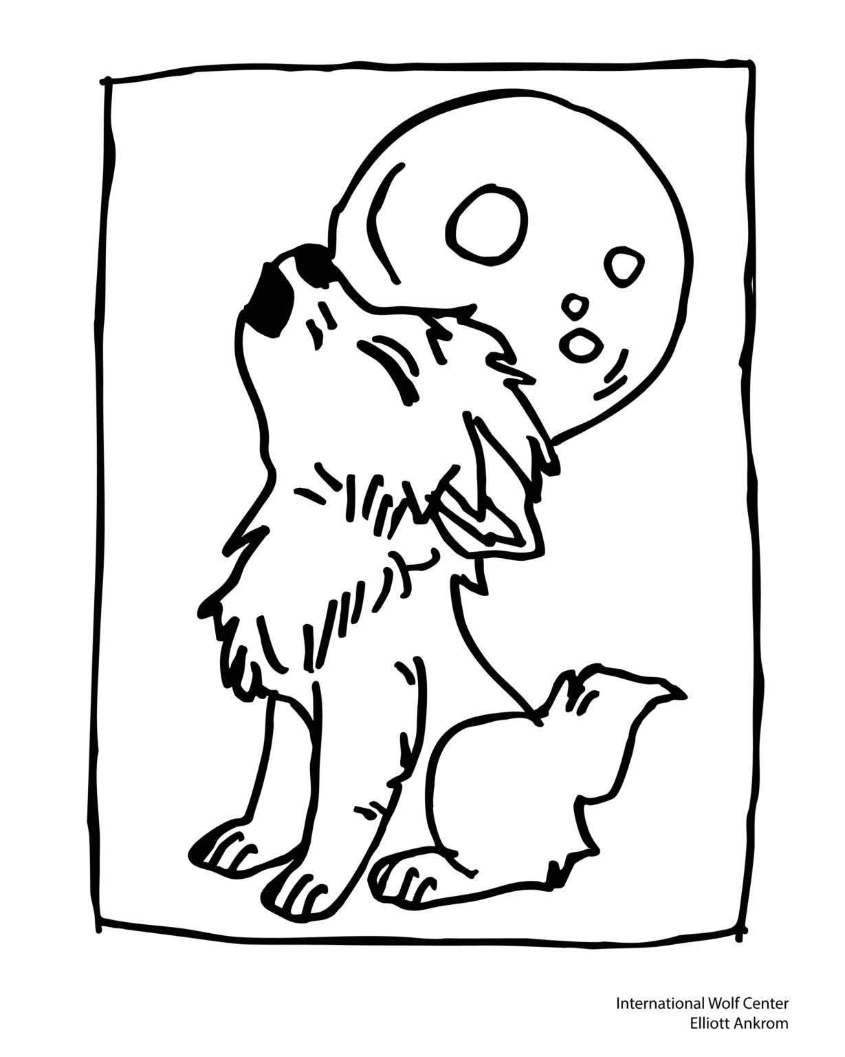 29 Elliott Coloring Page | International Wolf Center