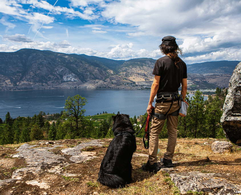 Living with Wolves | International Wolf Center